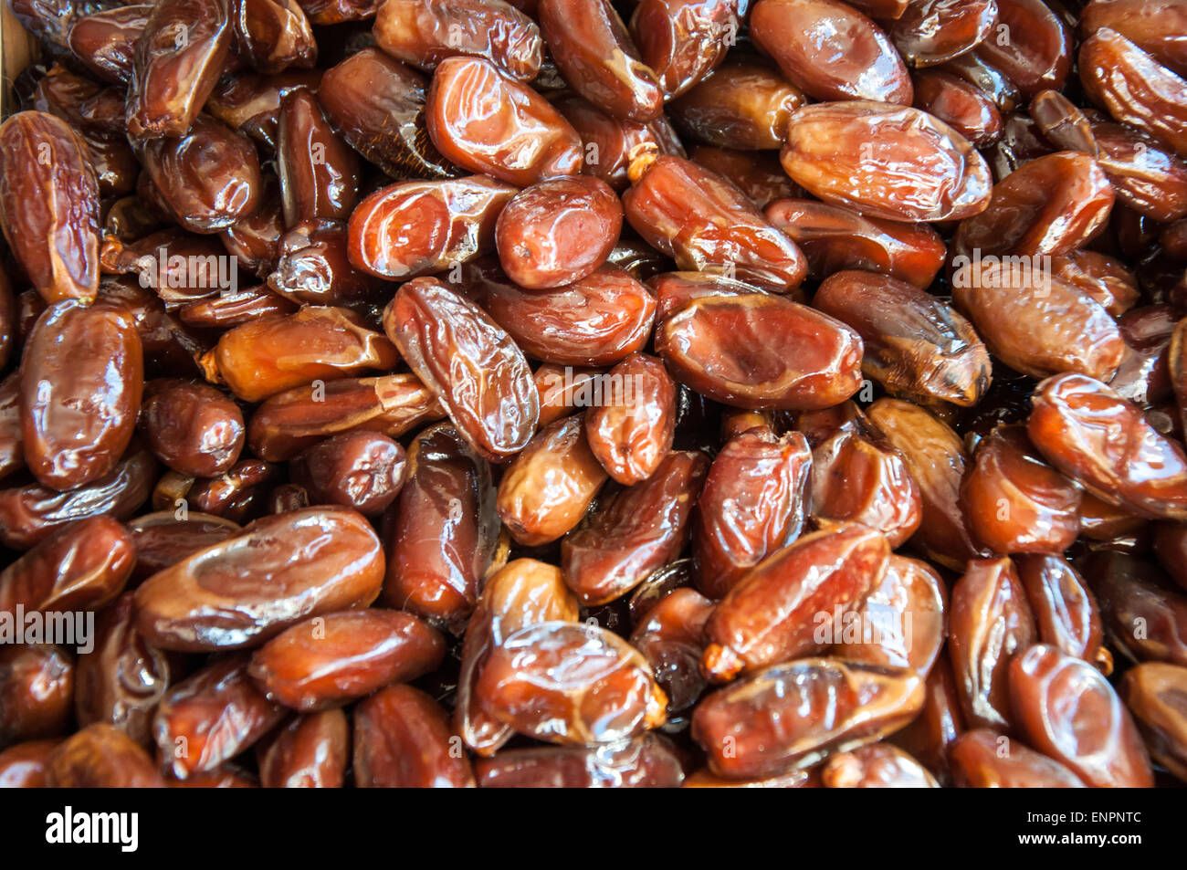 Dates the edible fruit of the date palm, especially species of Phoenix ...