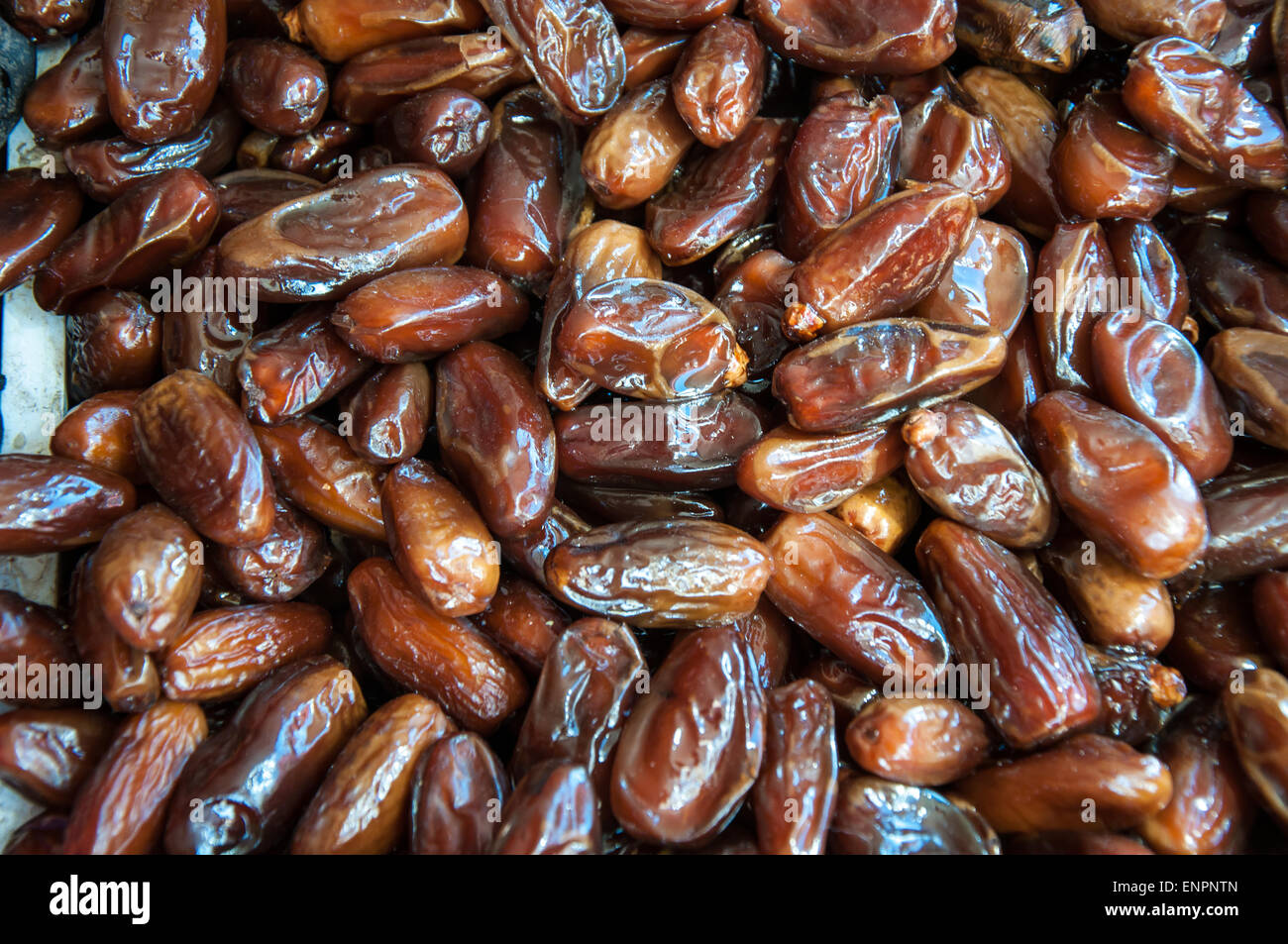 Dates the edible fruit of the date palm, especially species of Phoenix ...