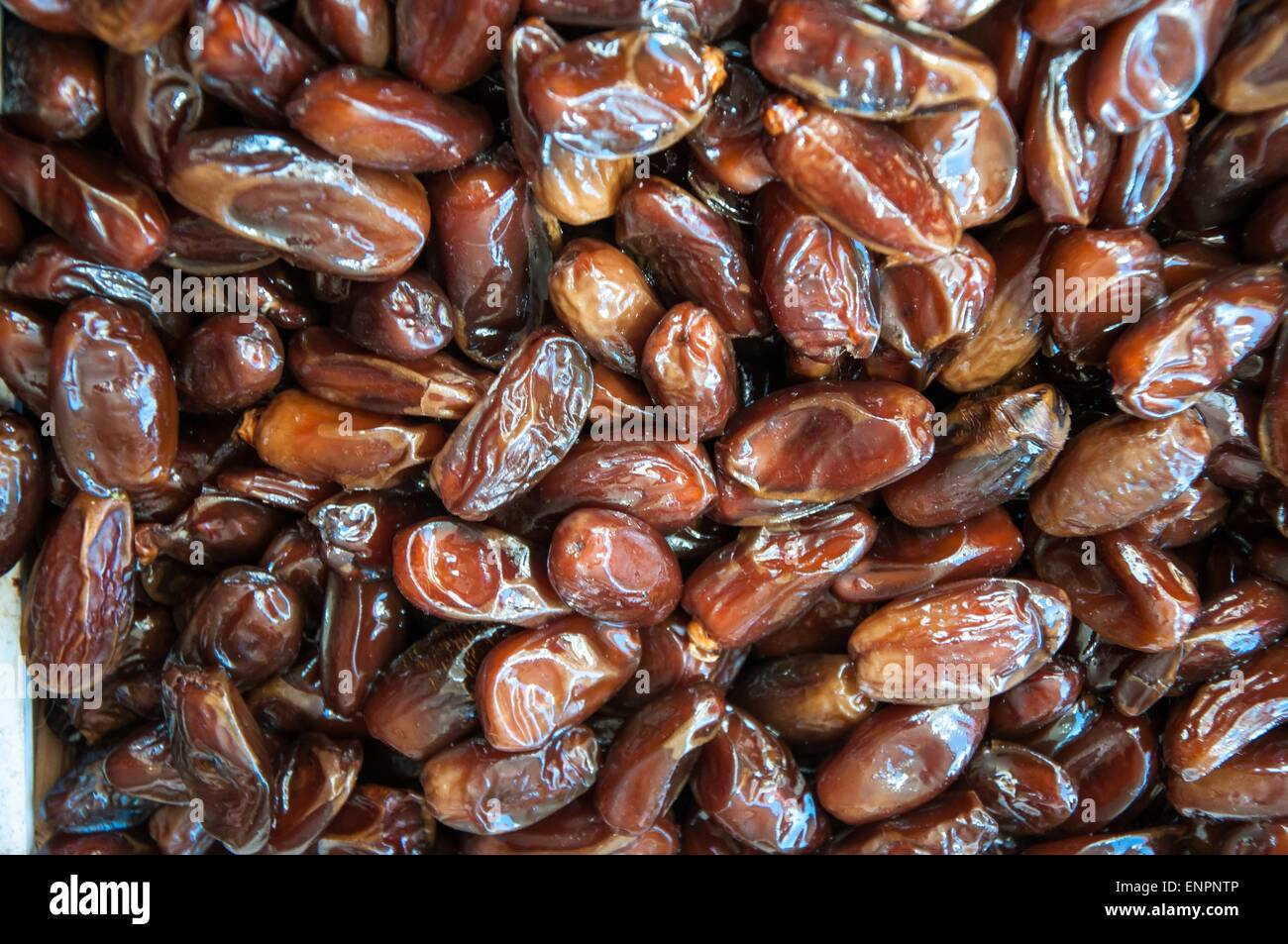 Dates the edible fruit of the date palm, especially species of Phoenix ...