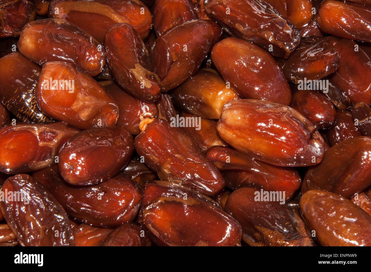 Dates the edible fruit of the date palm, especially species of Phoenix ...