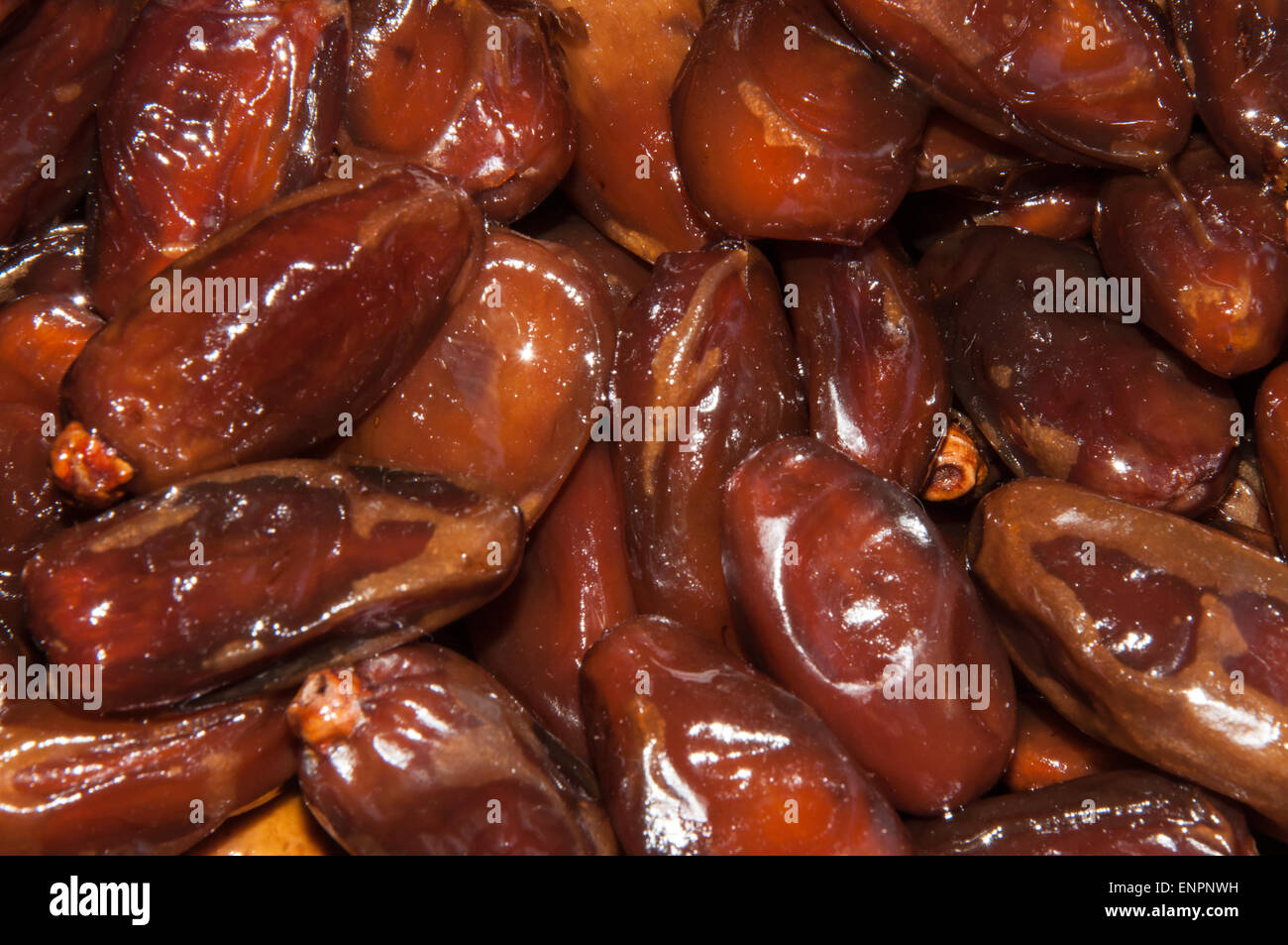 Dates the edible fruit of the date palm, especially species of Phoenix ...