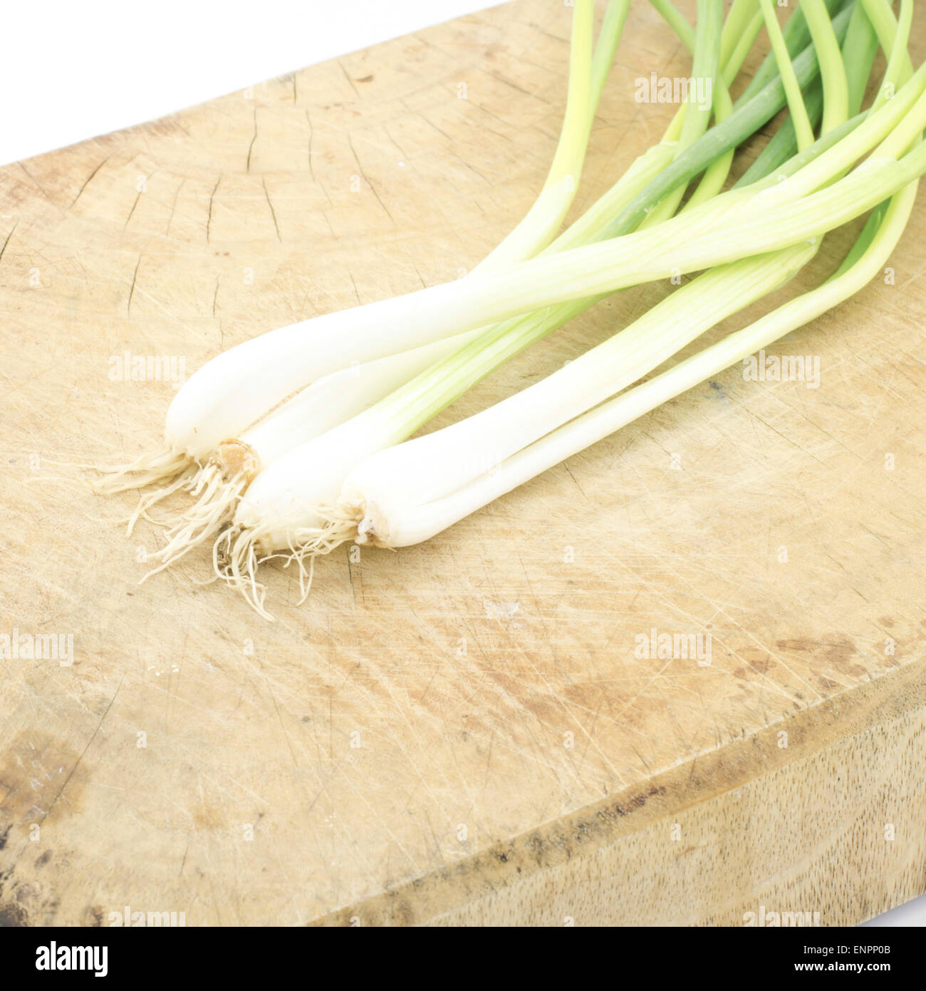 spring onion isolated on white background Stock Photo - Alamy