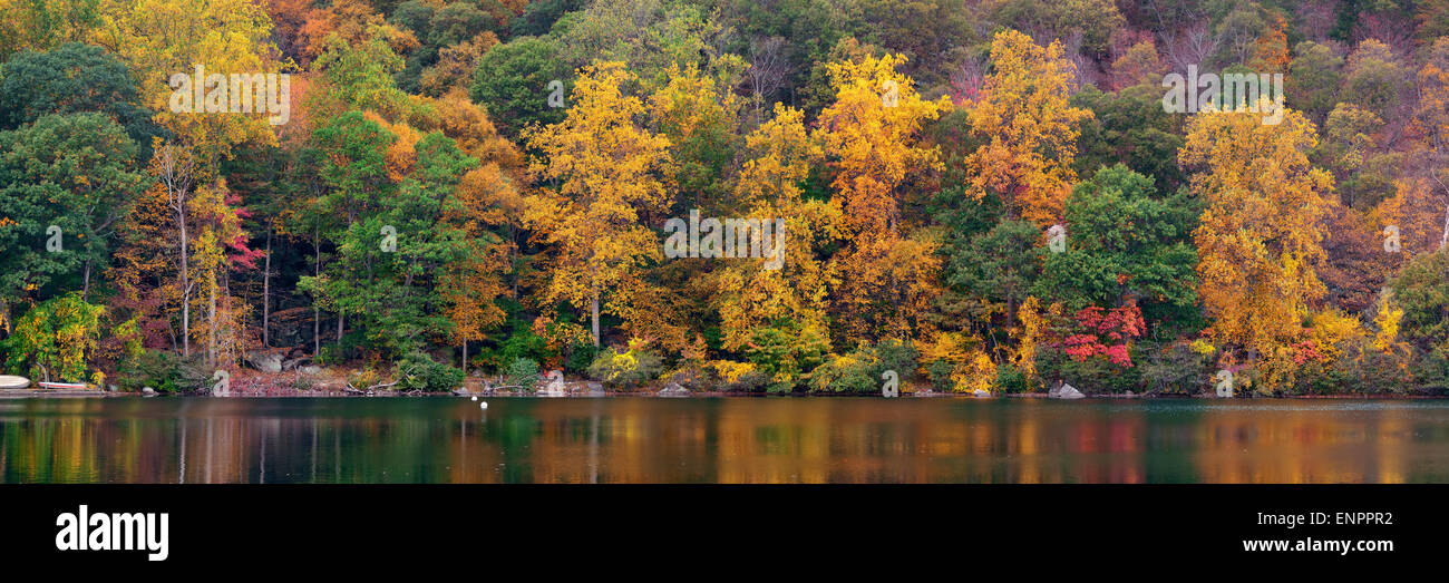 Autumn colorful foliage with lake reflection panorama Stock Photo - Alamy