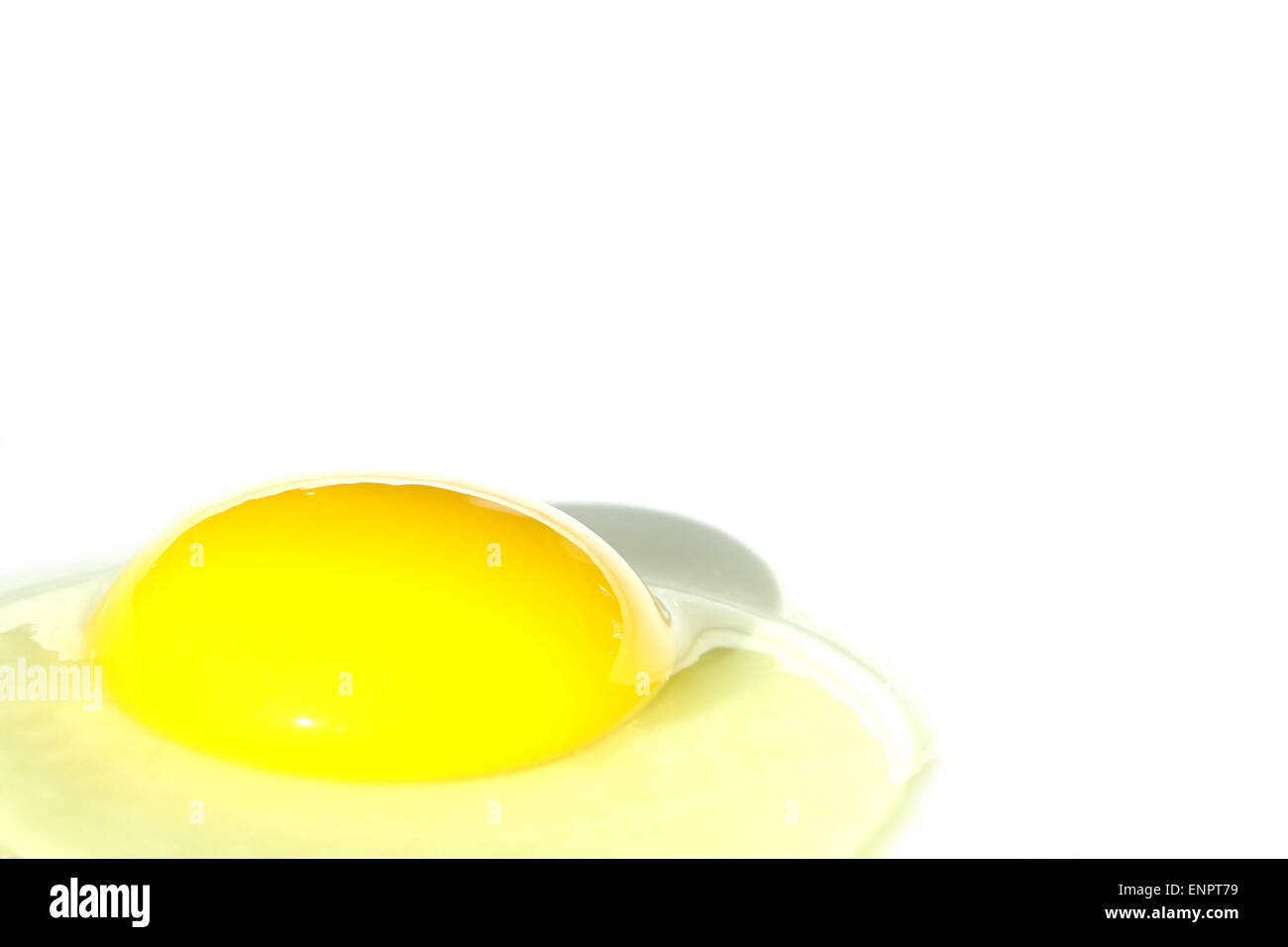 raw shining yellow egg yolk isolated on white background Stock Photo ...