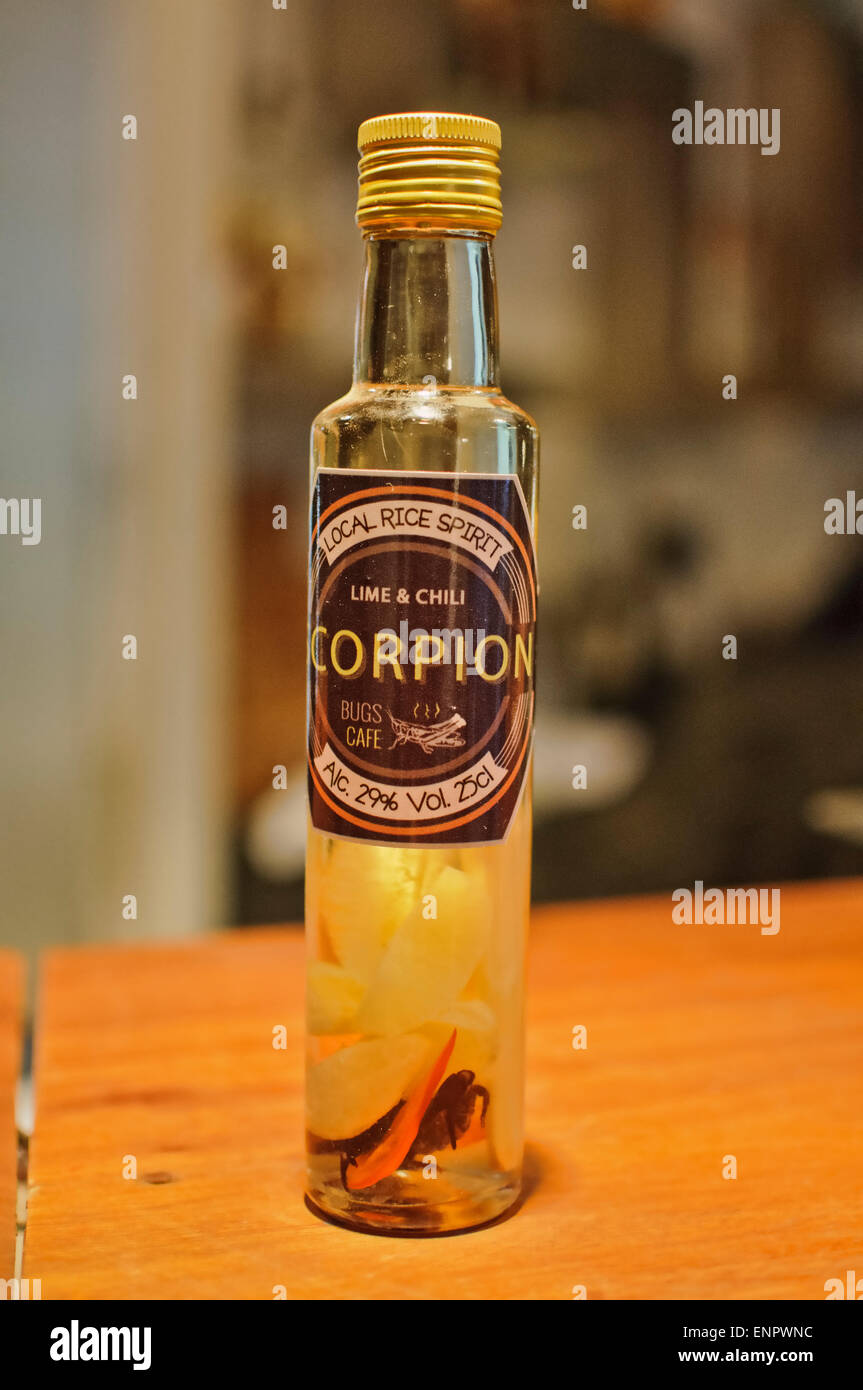 Scorpion Liquor at Bugs Cafe in Siem Reap, Cambodia Stock Photo - Alamy