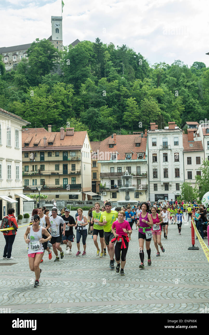 The Three-Member Team Run is an exceptionally attractive, traditional ...