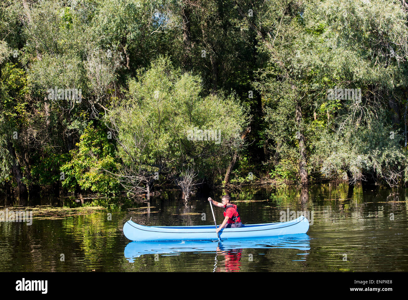 Man rowing canoe hi-res stock photography and images - Alamy