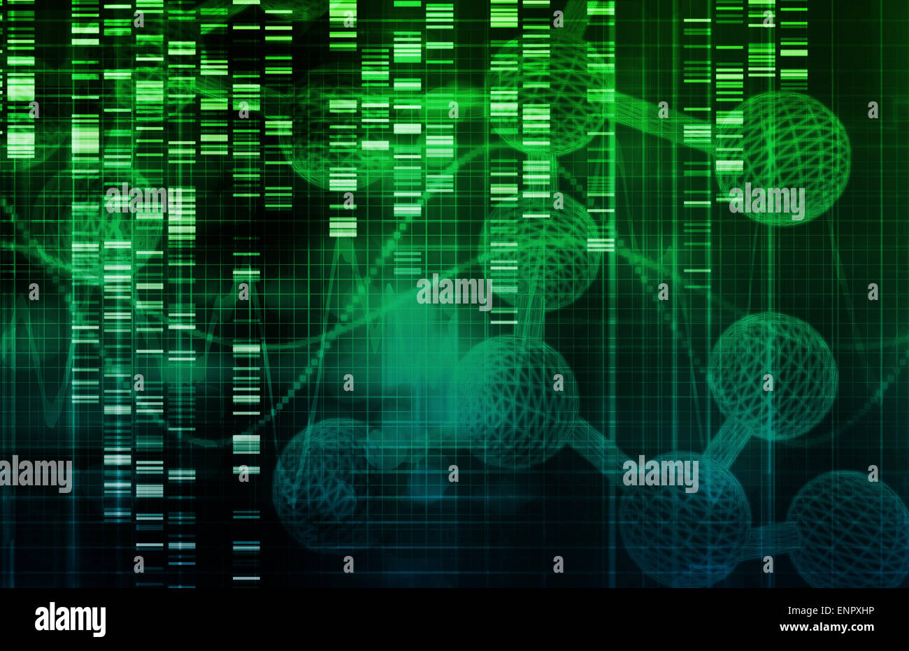 Human cell development hi-res stock photography and images - Alamy