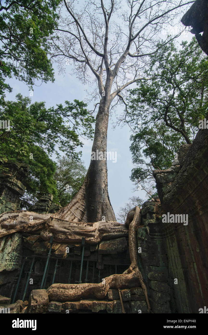 Spung hi-res stock photography and images - Alamy