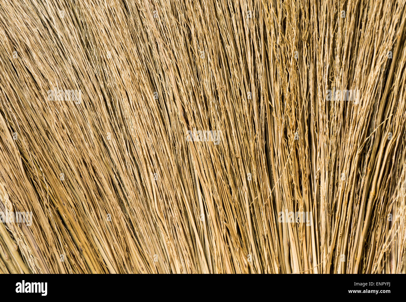 Closeup Hair Brown Broom Stock Photo - Alamy