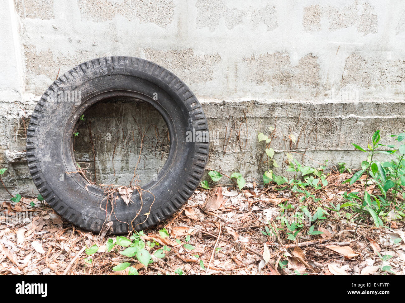 Old Tire Laying on a Wall in the Abandoned Garden Stock Photo - Alamy