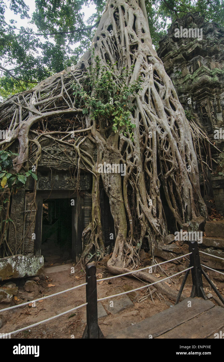 Spung hi-res stock photography and images - Alamy