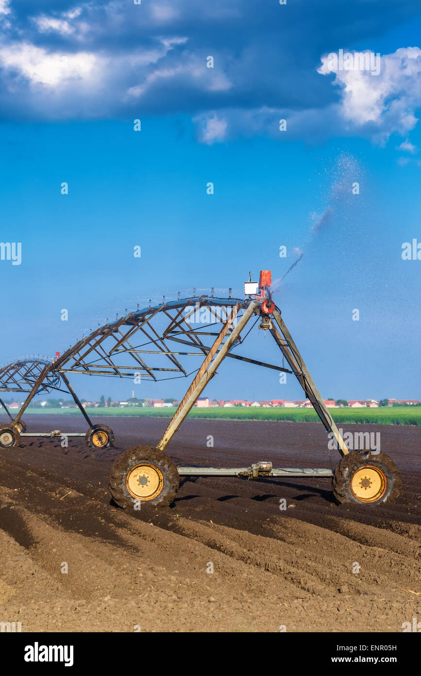 Automated Farming Irrigation Sprinklers System in Operation on ...