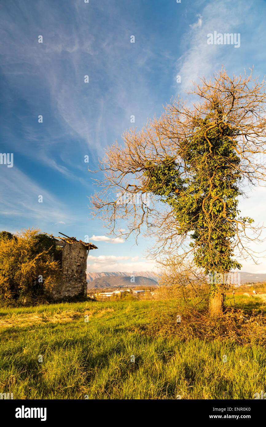 an abandoned and ruined farm in the fields of Italy Stock Photo - Alamy