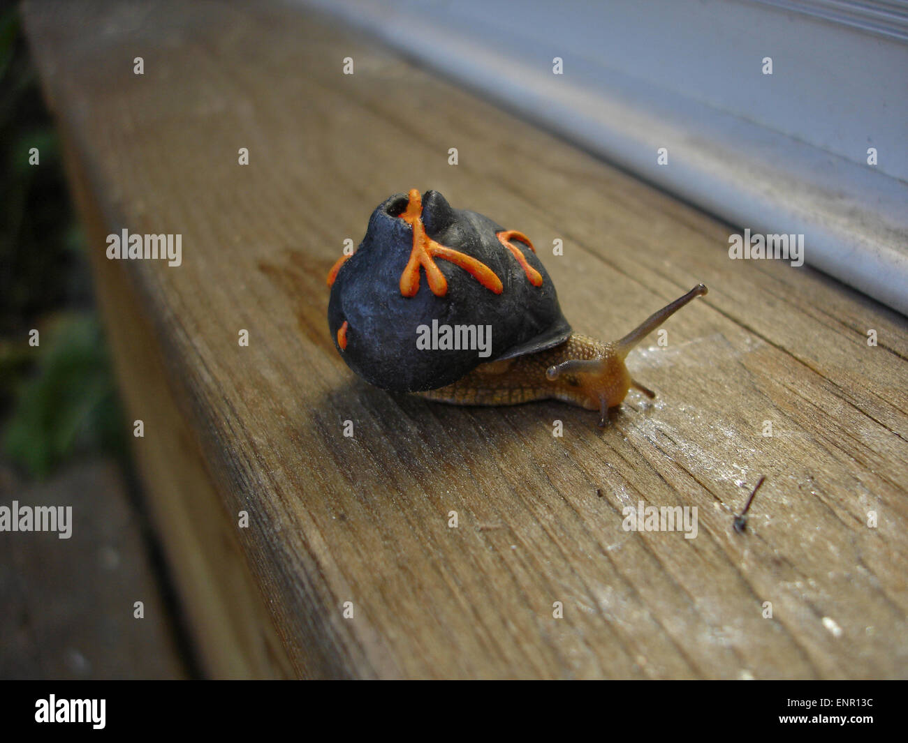 'Snailpimp' is a project by artist Stefan Siverud, who is having fun ...