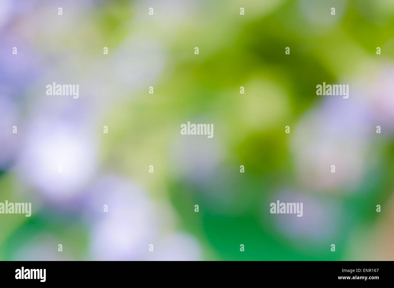 blue and green blurred nature abstract background Stock Photo - Alamy