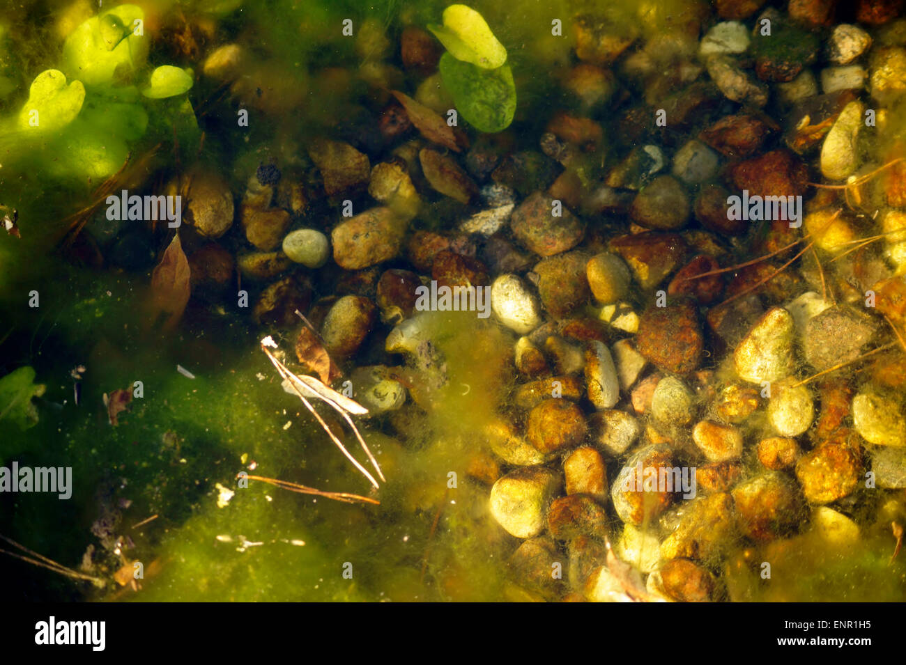 Underwater Sediments High Resolution Stock Photography and Images - Alamy