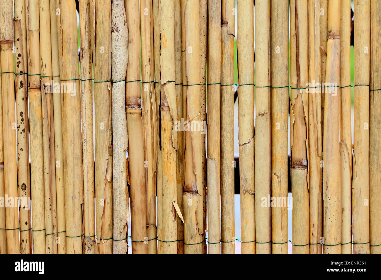 Nice background hi-res stock photography and images - Alamy