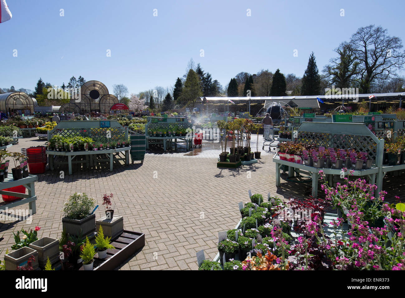 Bright sunny day watering displays due to hot weather Hayes Garden ...