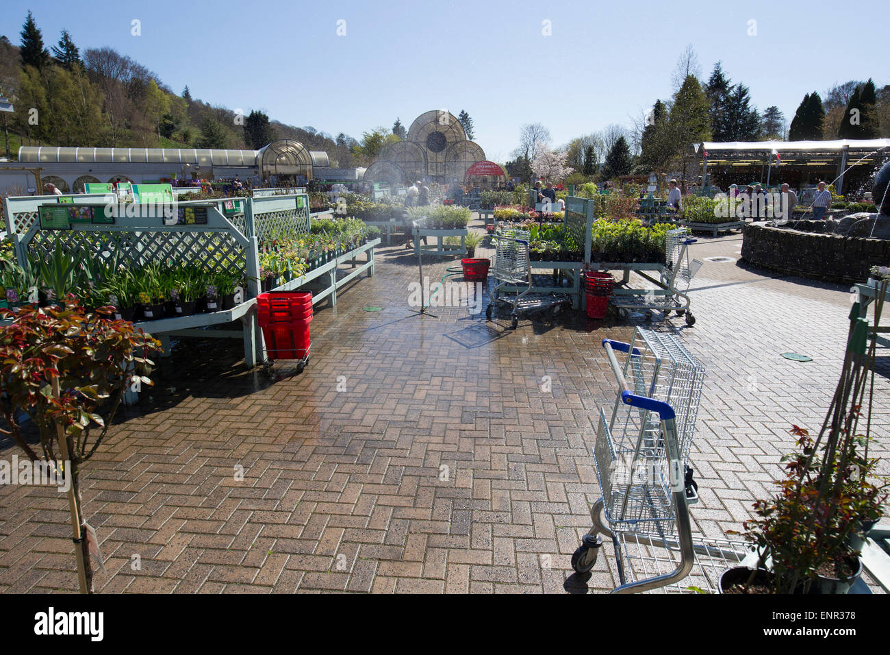 Bright sunny day watering displays due to hot weather Hayes Garden ...
