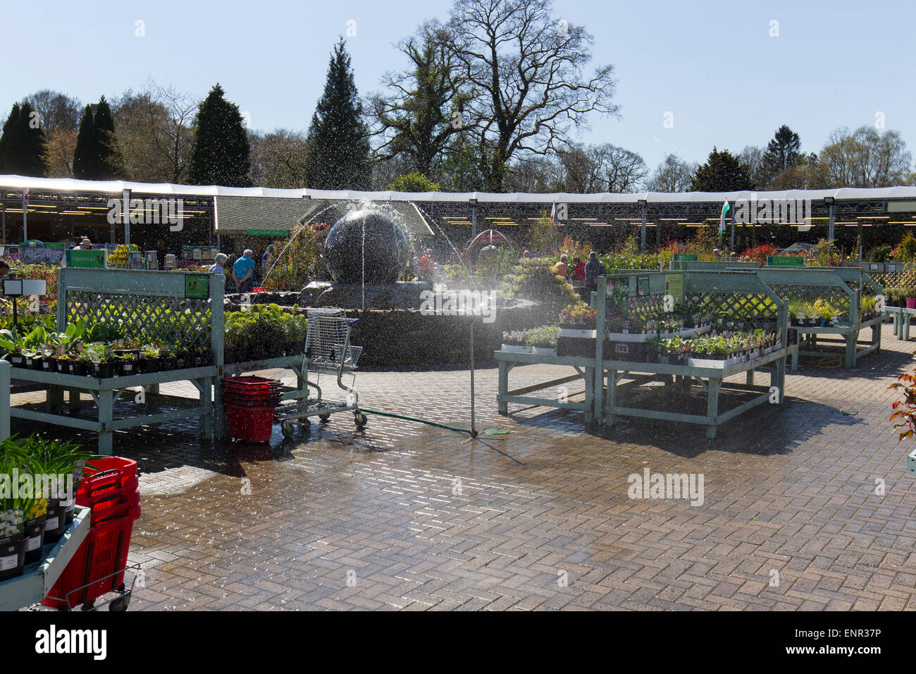 Bright sunny day watering displays due to hot weather Hayes Garden ...