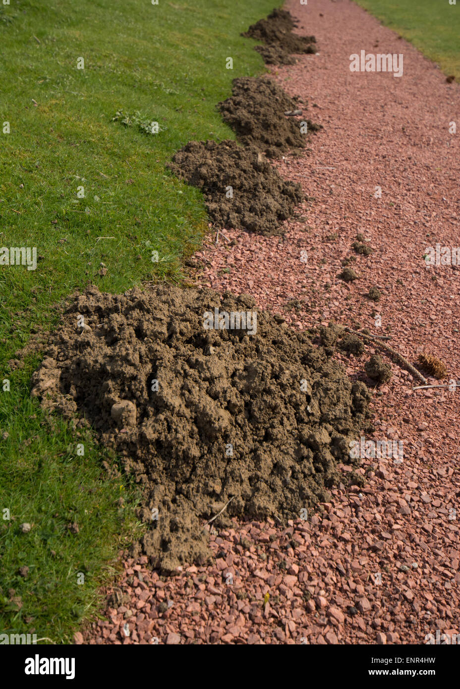 Path edge grass hi-res stock photography and images - Alamy