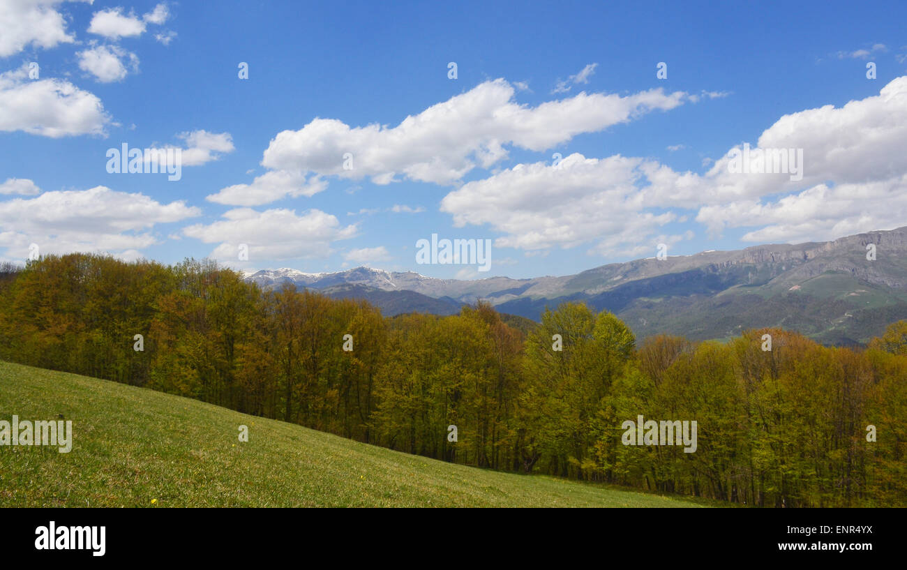Beautiful spring landscape Stock Photo - Alamy