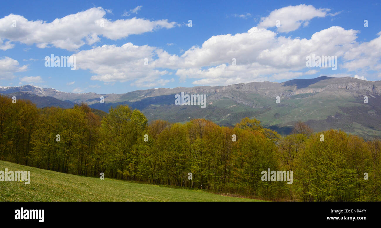 Beautiful spring landscape Stock Photo - Alamy