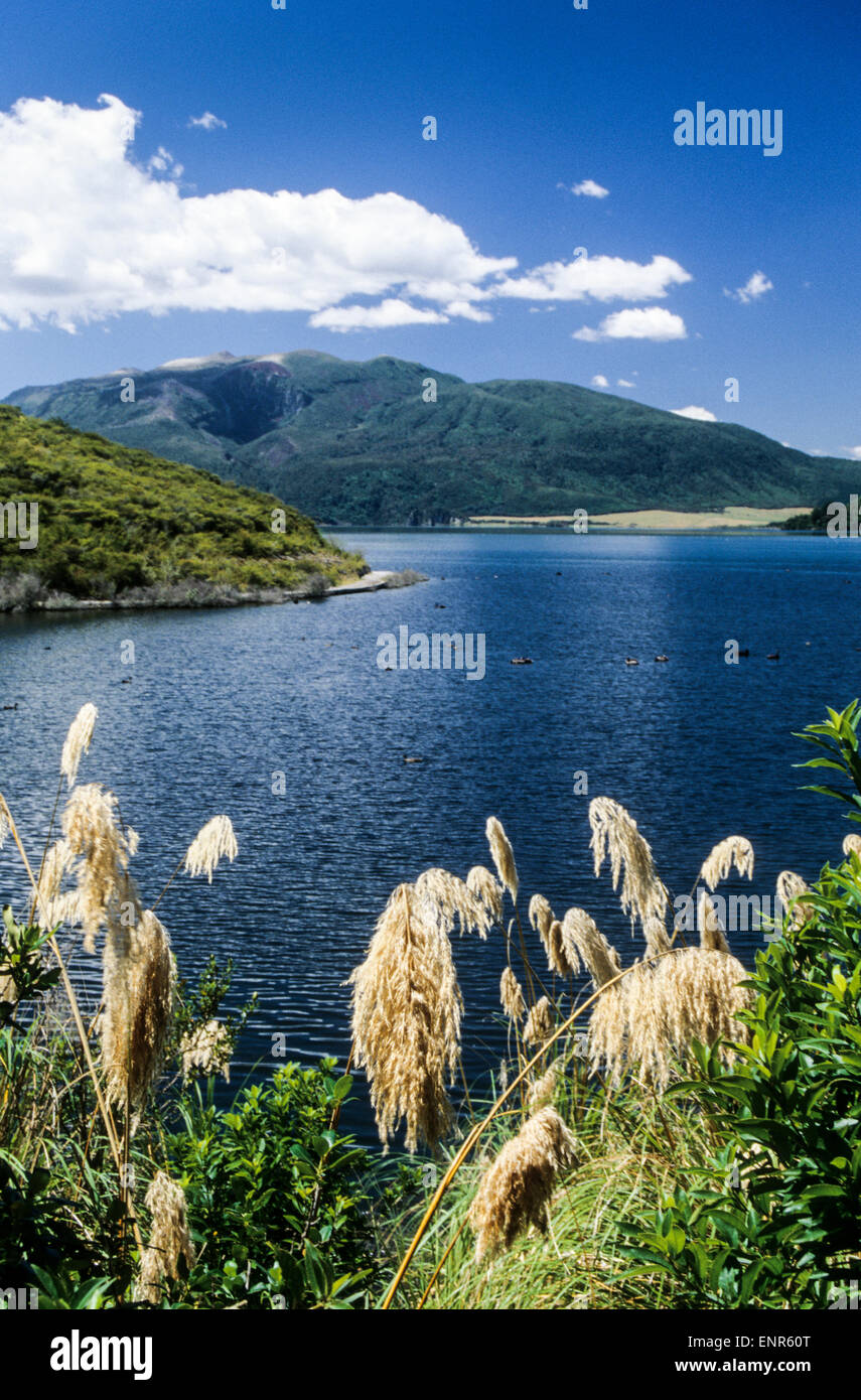 Mount Tarawera volcano and Lake Rotomahana, New Zealand Stock Photo - Alamy