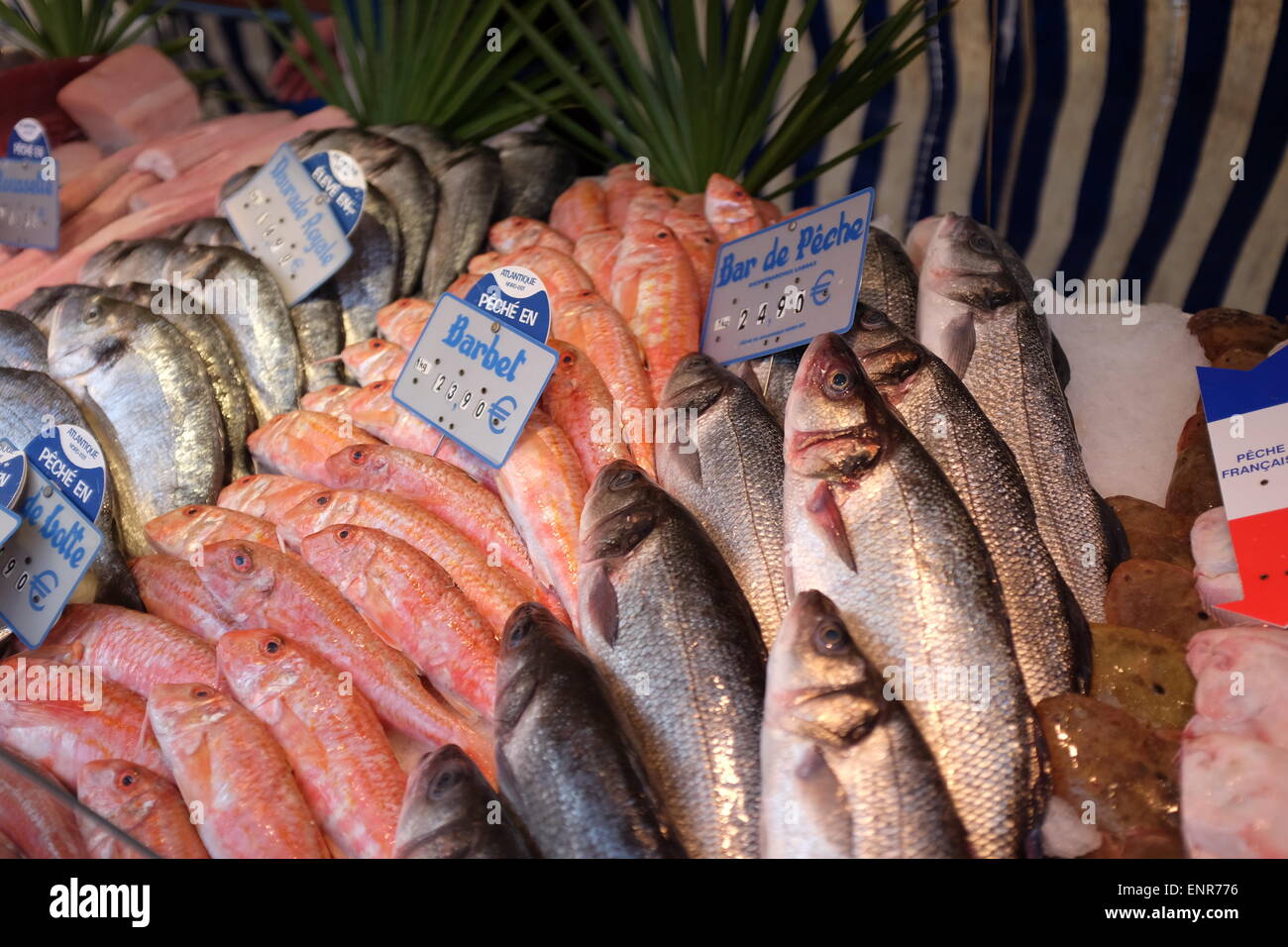 Fresh fish at a Paris street market, France Stock Photo - Alamy