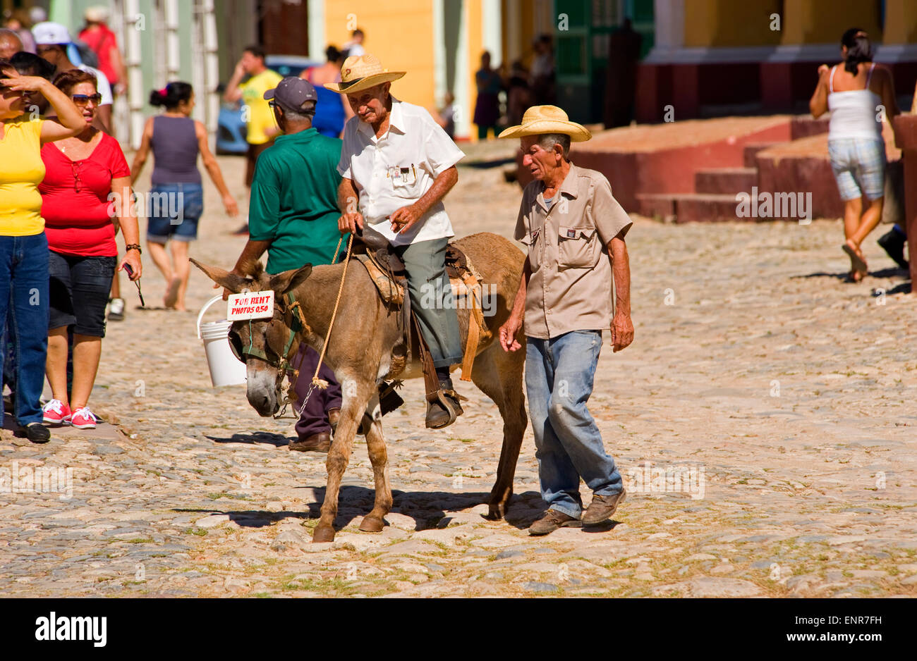 Men with donkey hi-res stock photography and images - Alamy