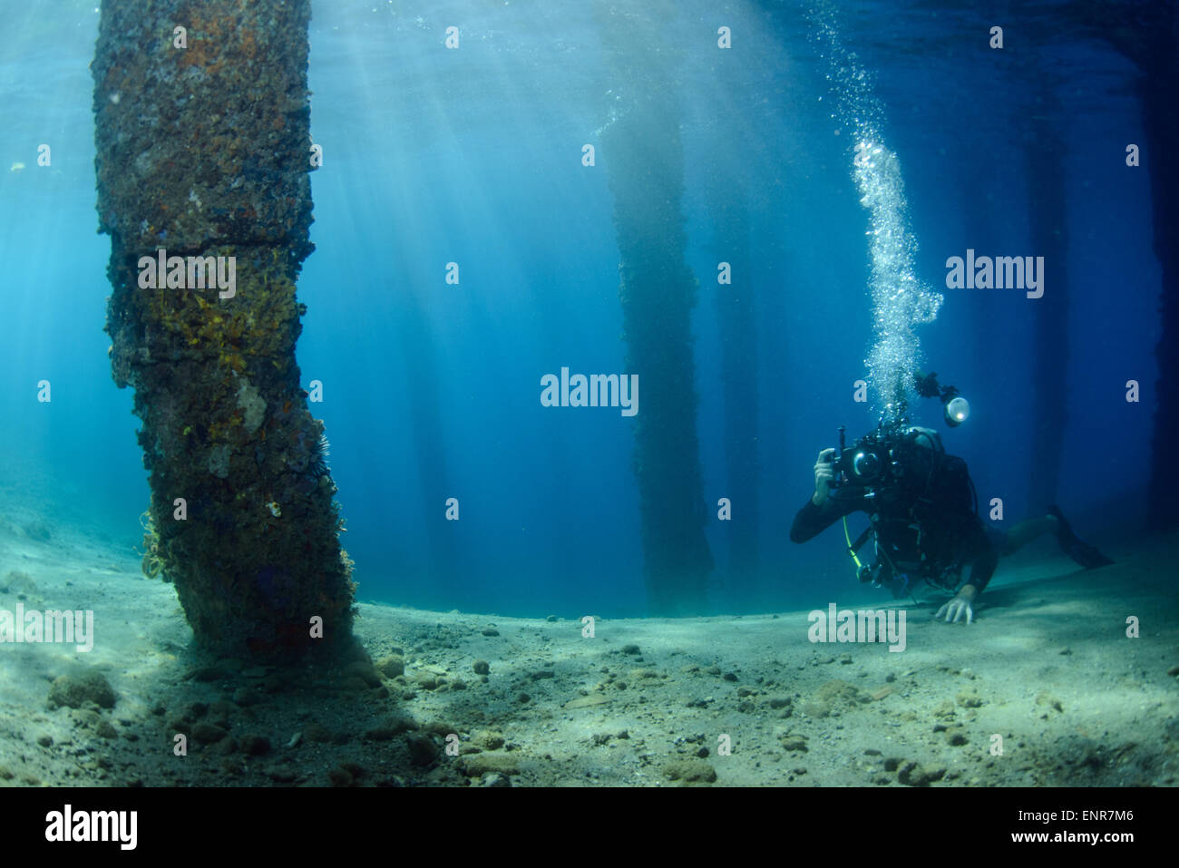Underwater photographer while taking a picture underneath the jetty of ...