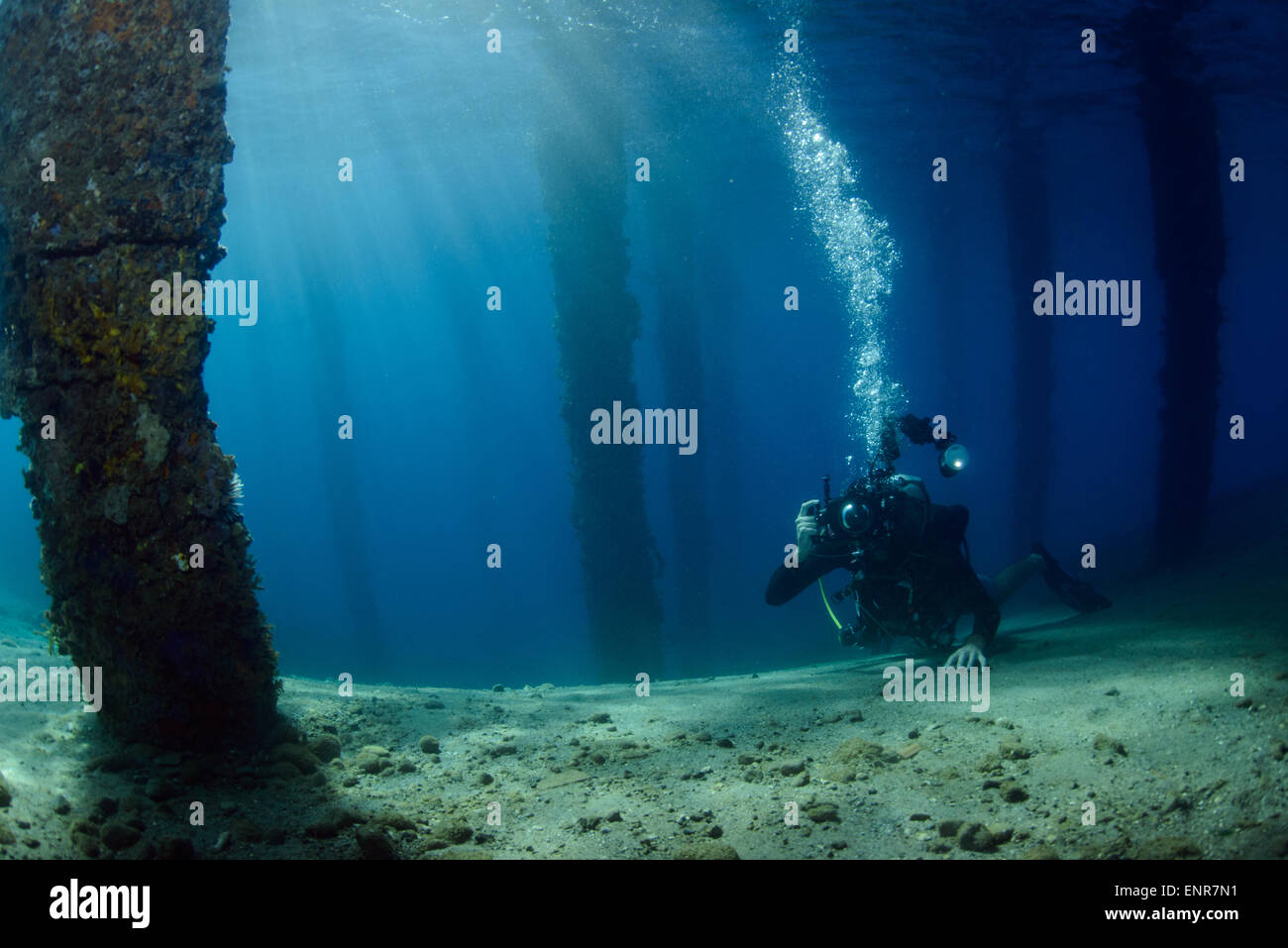 Underwater photographer while taking a picture underneath the jetty of ...