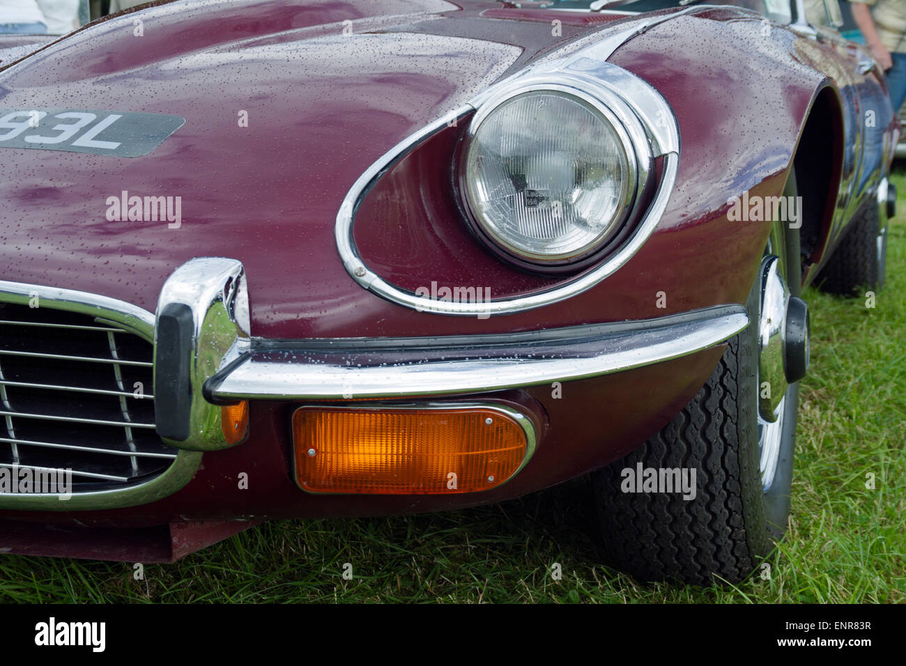 E-Type Jaguar Front Wing Stock Photo - Alamy