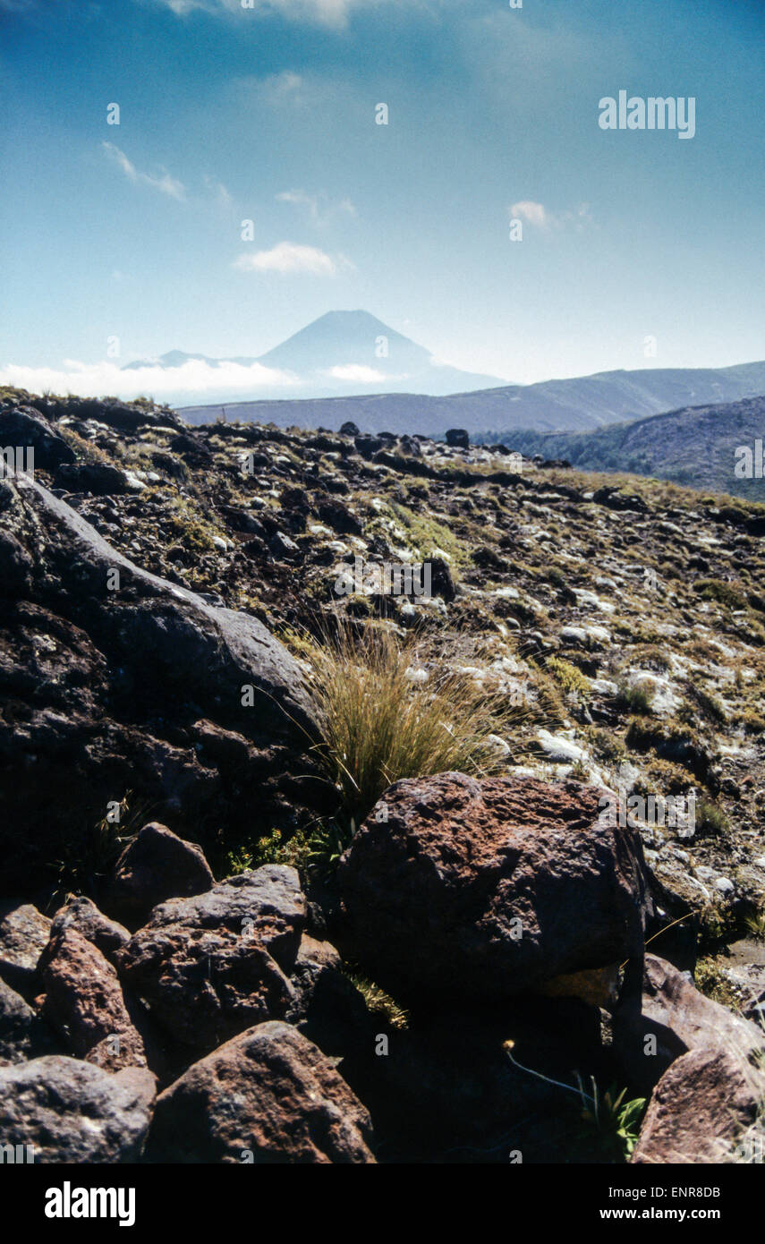 Tongariro National Park, New Zealand Stock Photo - Alamy