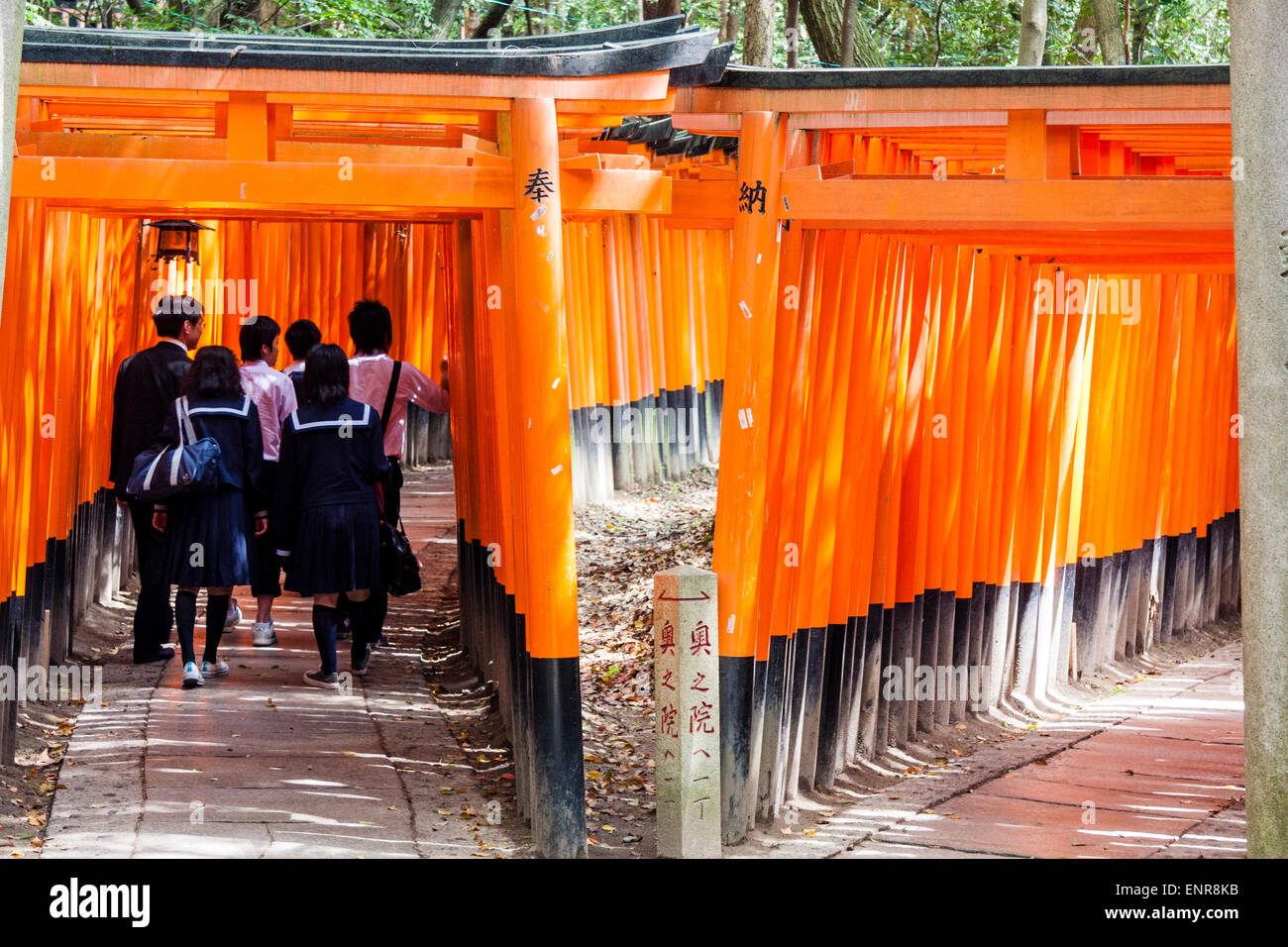Schoolgirls walking through a double corridor formed by hundreds of ...