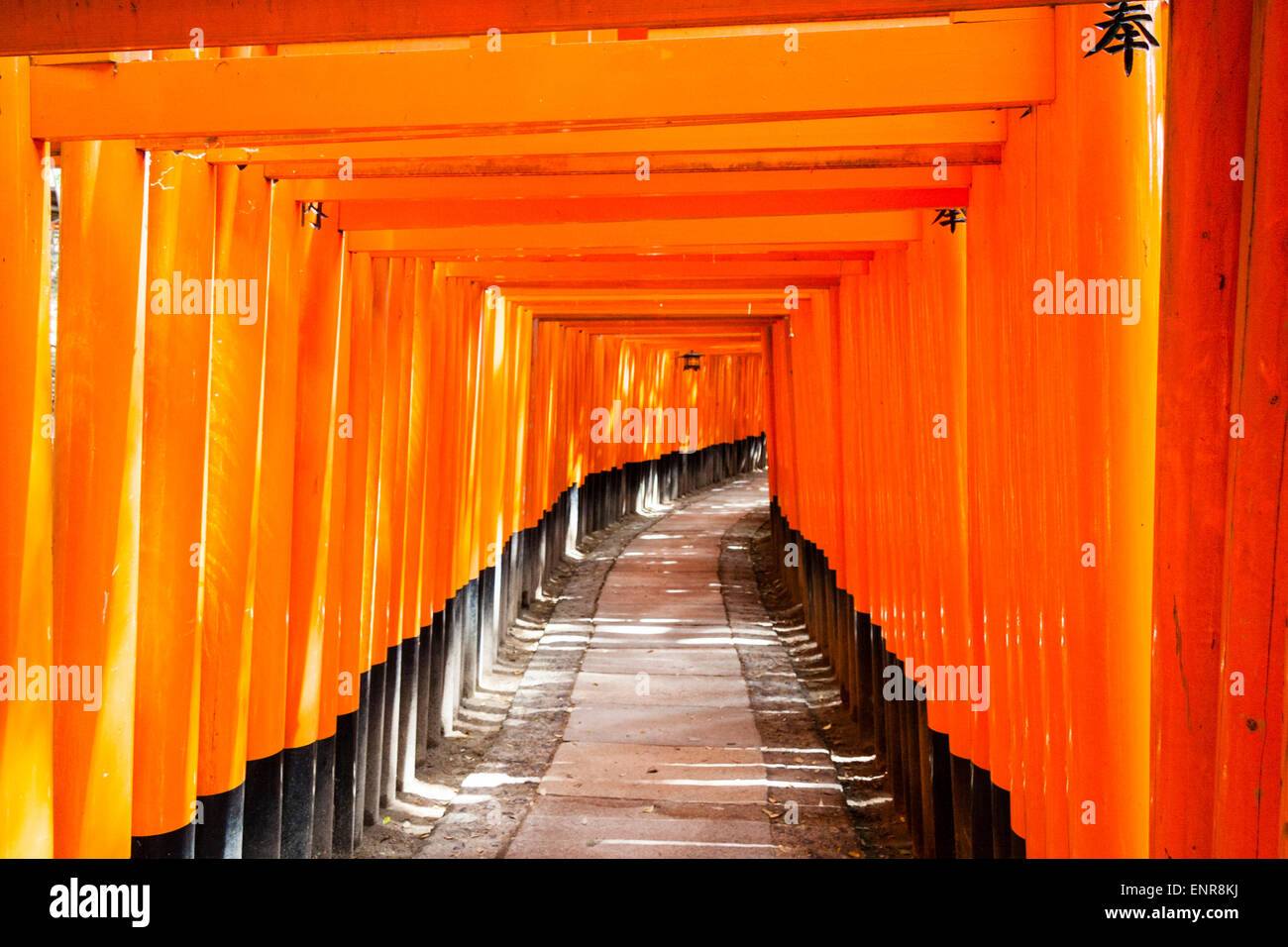 Orange torii hi-res stock photography and images - Alamy