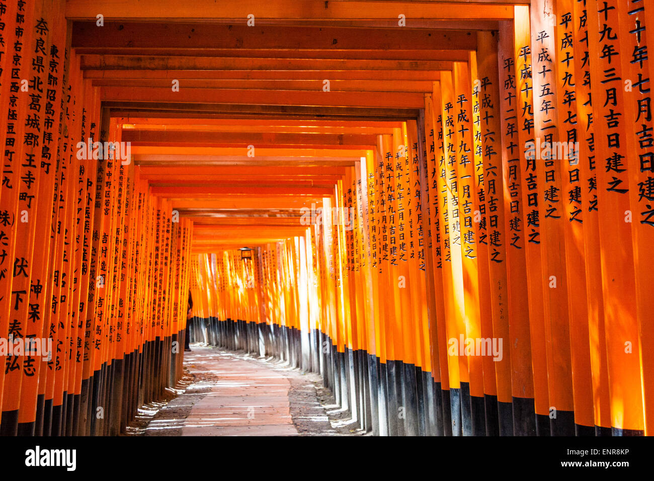 View along corridor formed by hundreds of vermilion, orange, torii ...