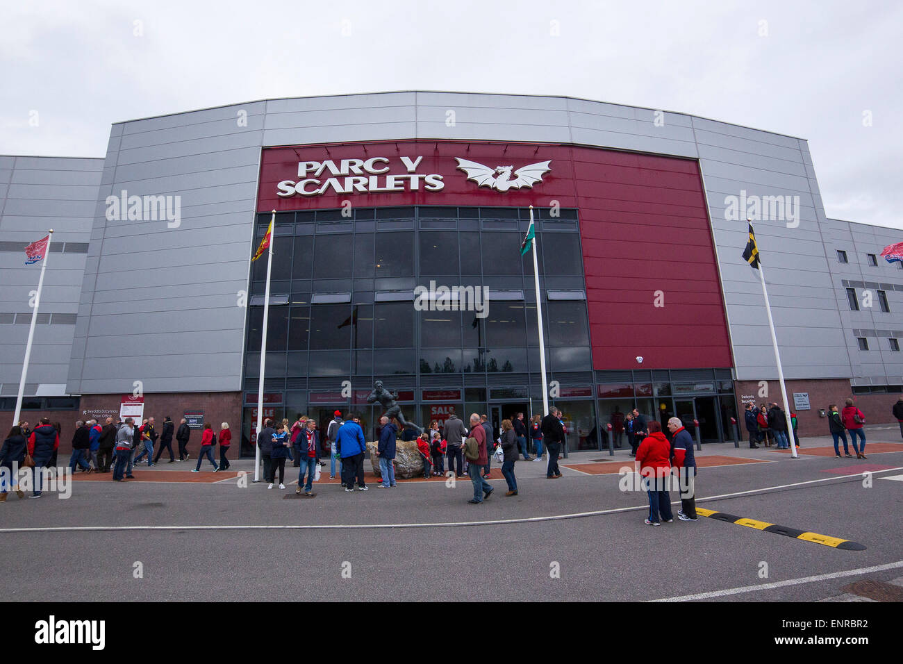 Parc y scarlets stadium hi-res stock photography and images - Alamy