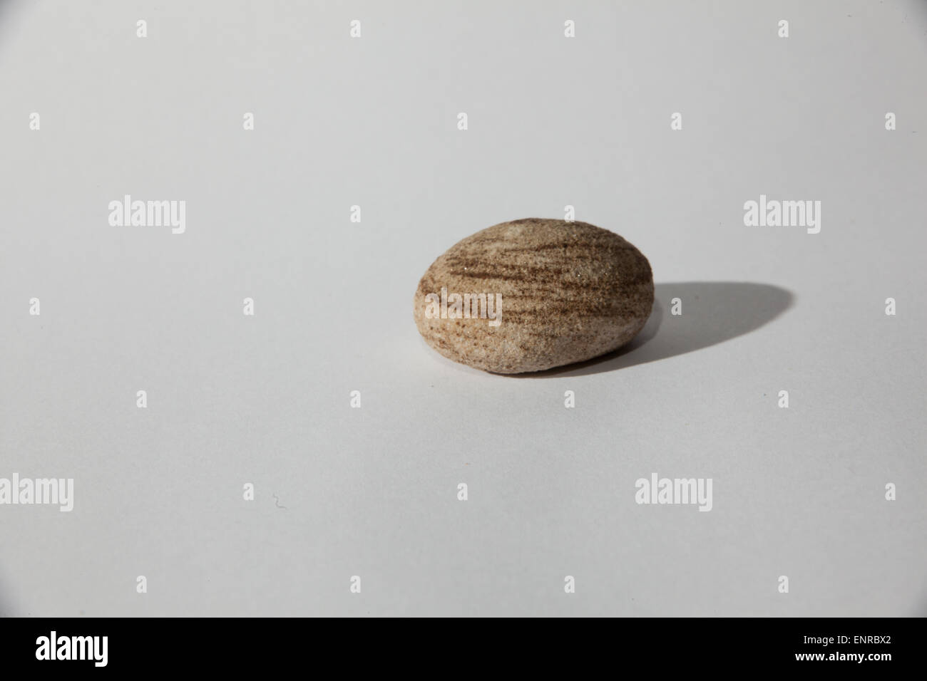 Studio shot of a stone Stock Photo - Alamy