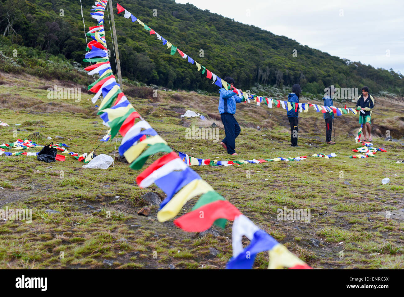 Ta lung hi-res stock photography and images - Alamy