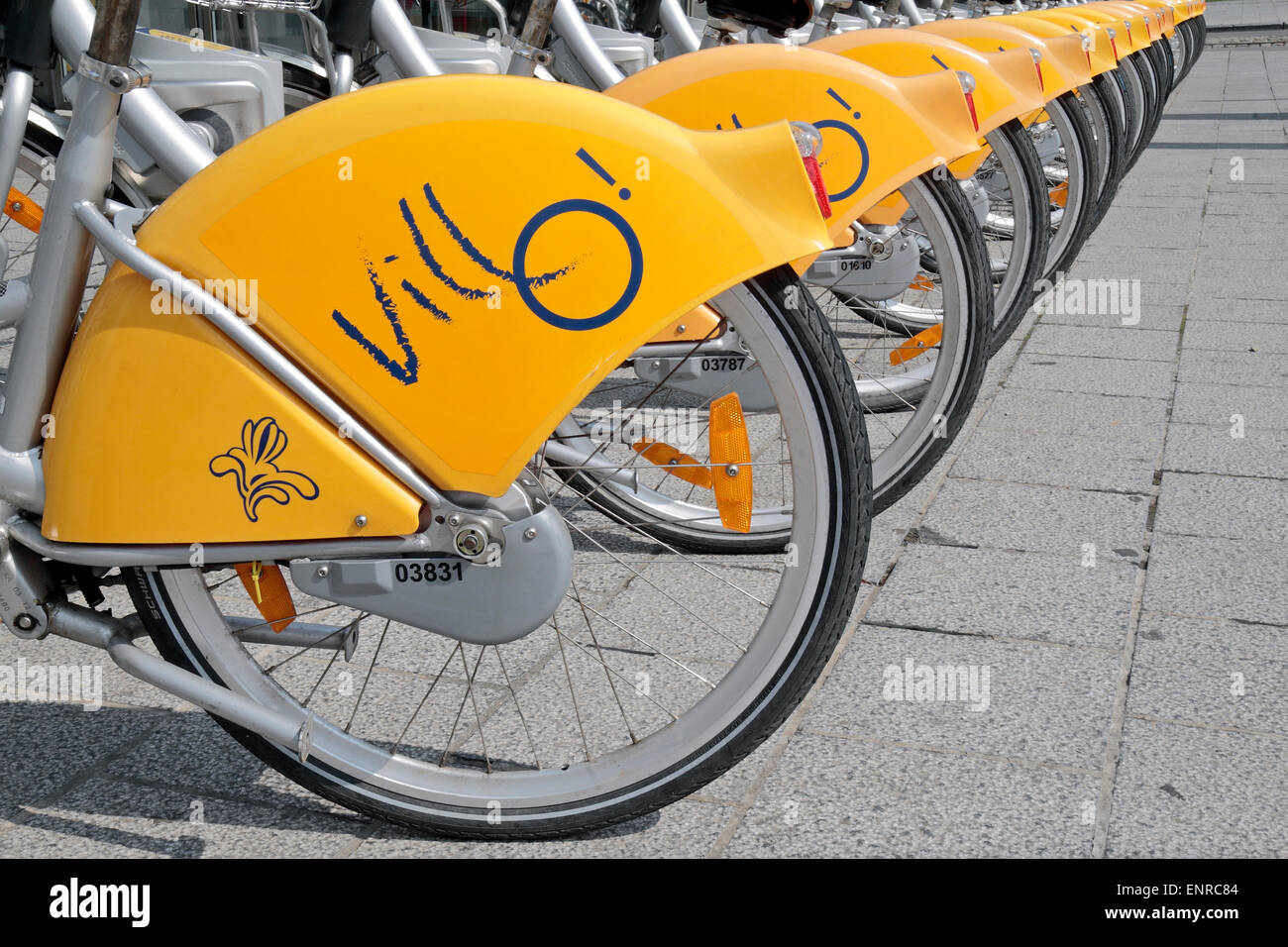 A line of Villo! rental bicycles in Brussels, Belgium Stock Photo - Alamy