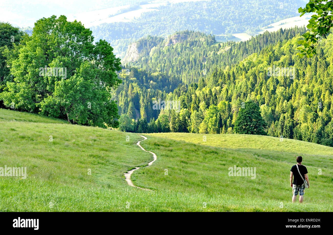 Young man searching for the mountain path Stock Photo - Alamy