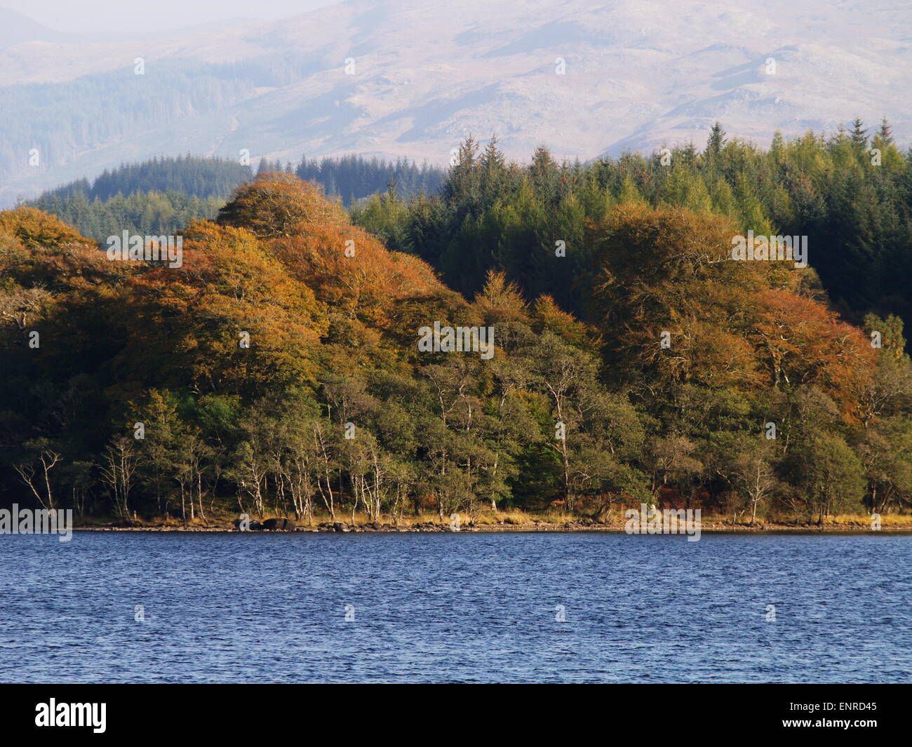 Bank of a lake hi-res stock photography and images - Alamy