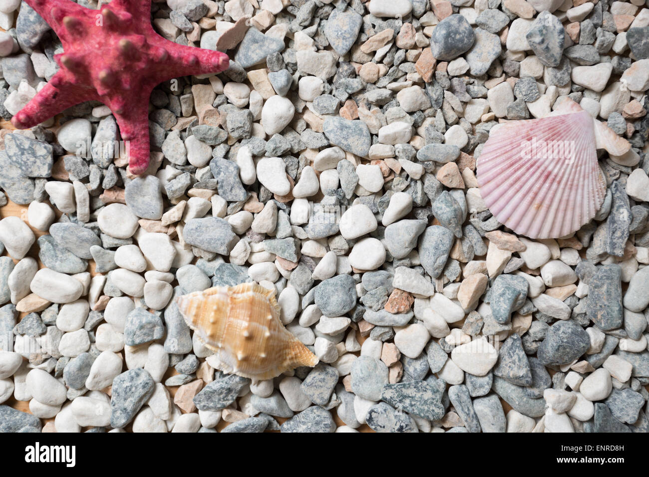 Texture of seashore covered by colorful pebbles, seashells and ...