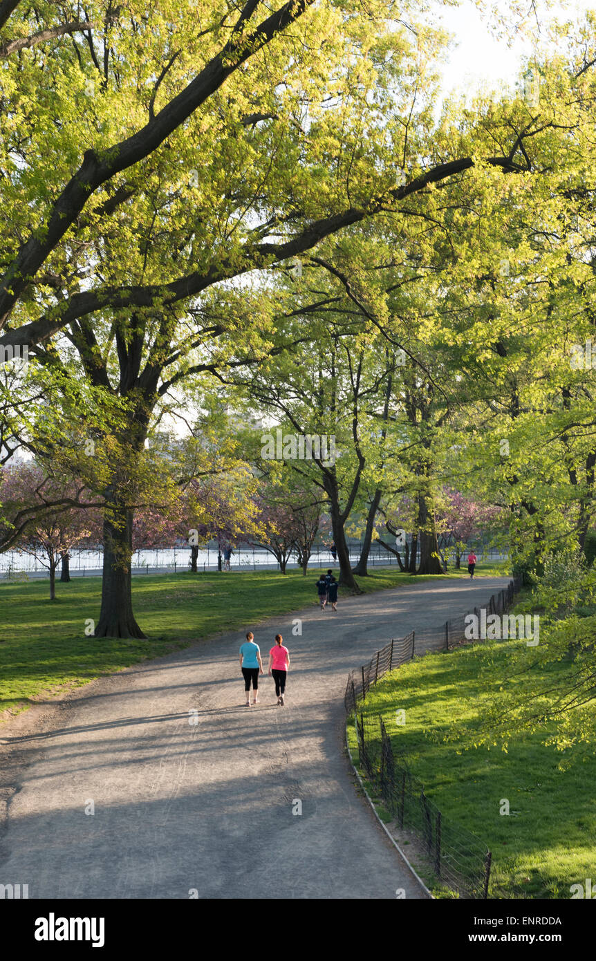 Walk in spring park city hi-res stock photography and images - Alamy