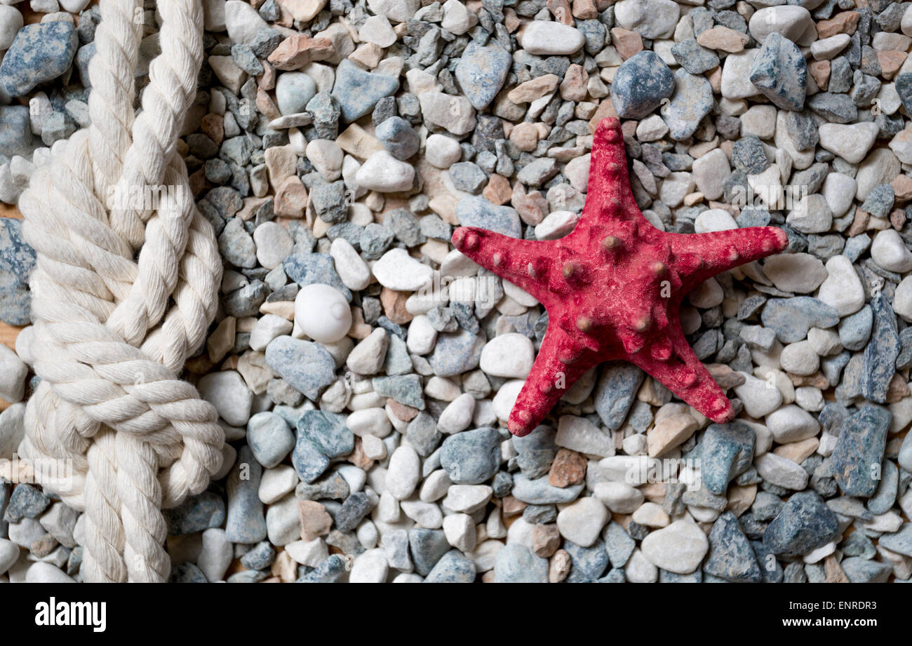 Closeup shot of red starfish and marine knot lying on colorful pebbles ...