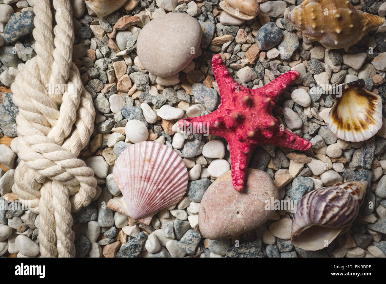 Marine background with ropes and seashells lying on seashore Stock ...