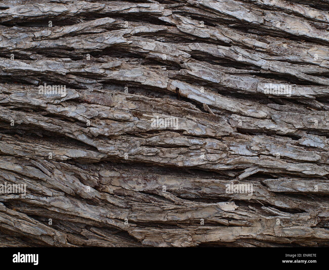 Asian Trade Center Expansion Stock Photo - Alamy