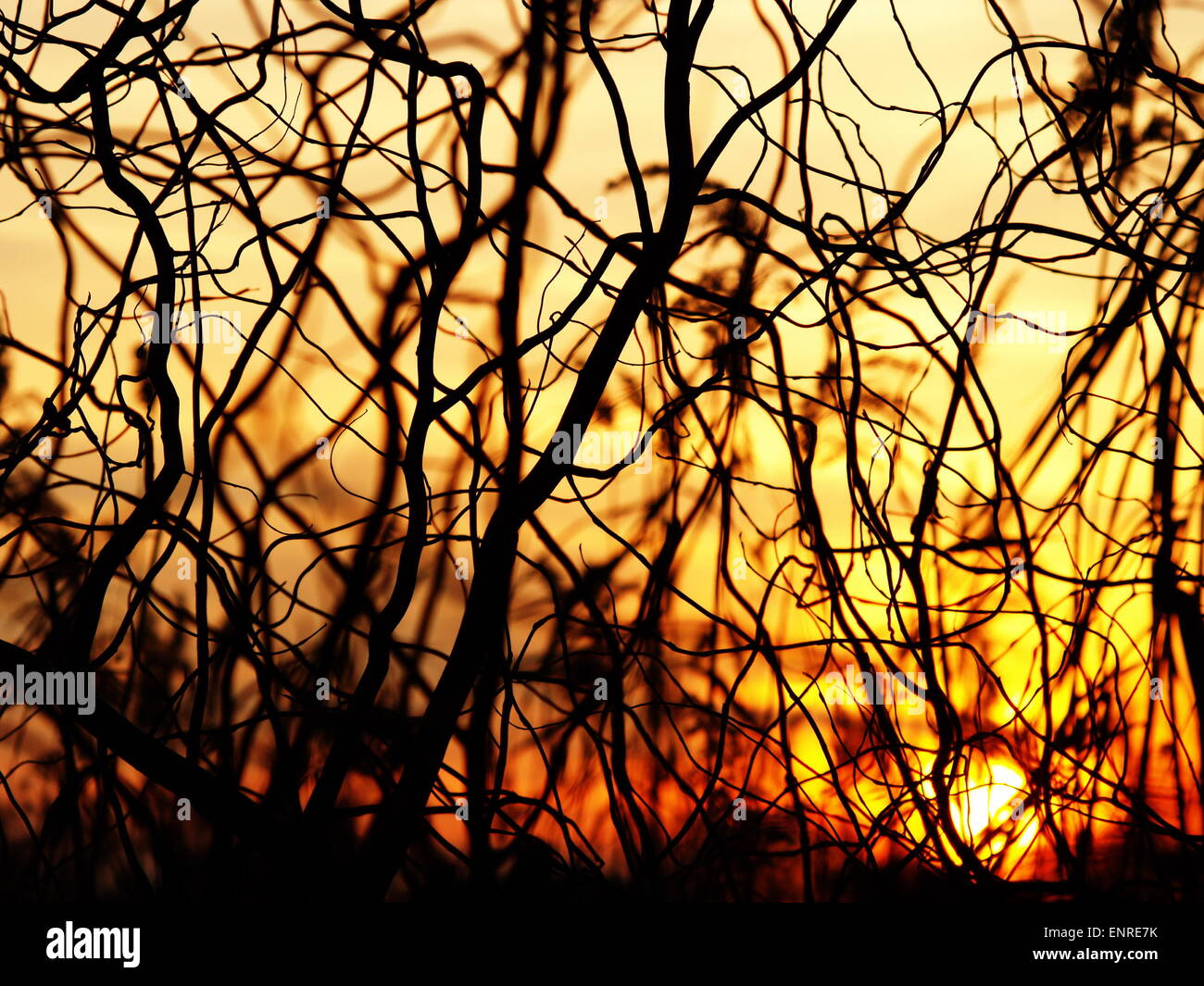 Abstract curves hi-res stock photography and images - Alamy